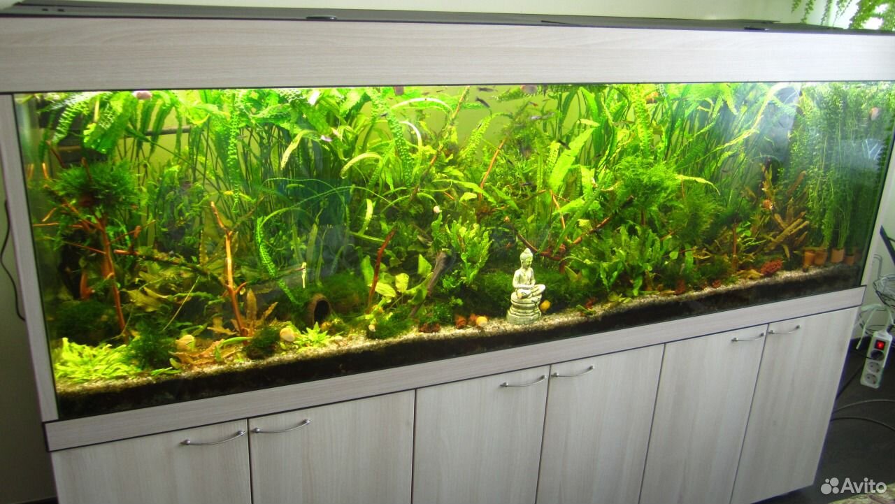 Аквариум