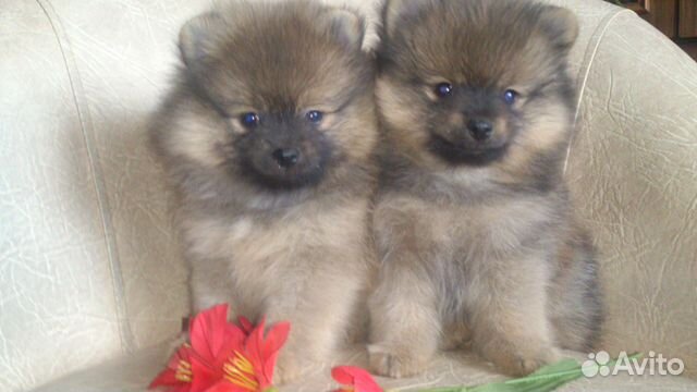 Не проходите мимо, девчата ждут