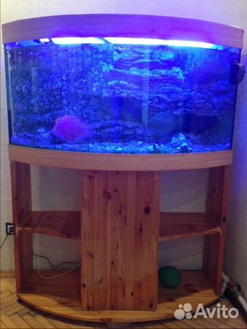 Продажа аквариума с тумбой и оборудованием