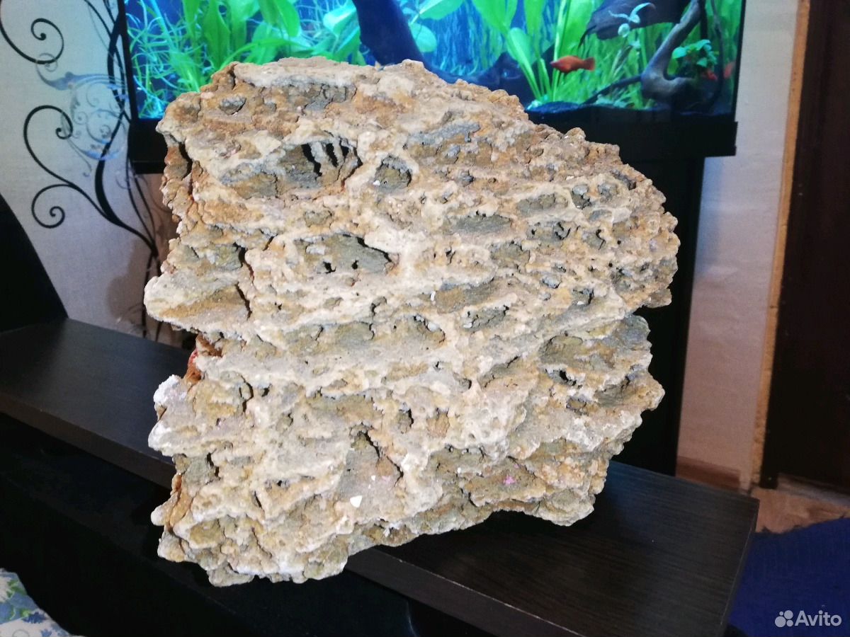 Коралл и камни