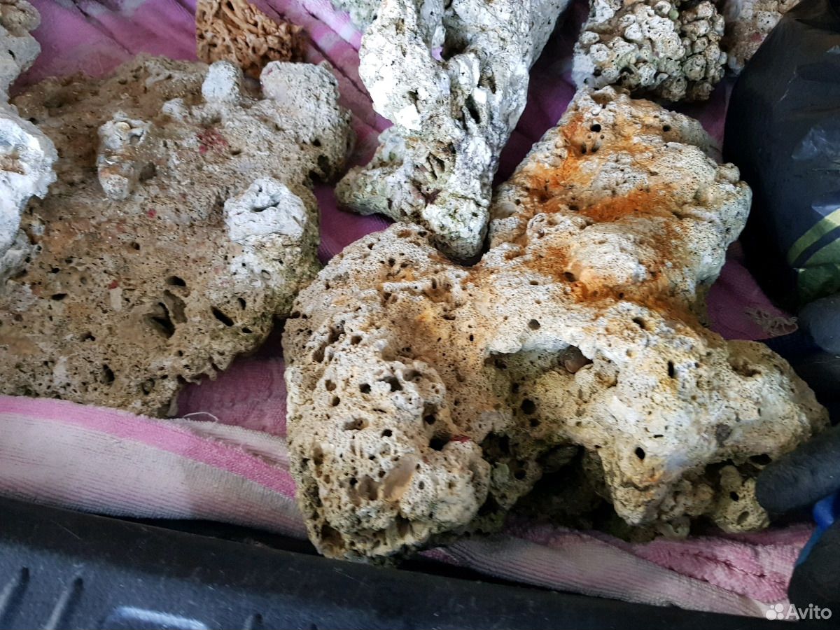 Морской аквариум живой рифовый камень сухой рифова