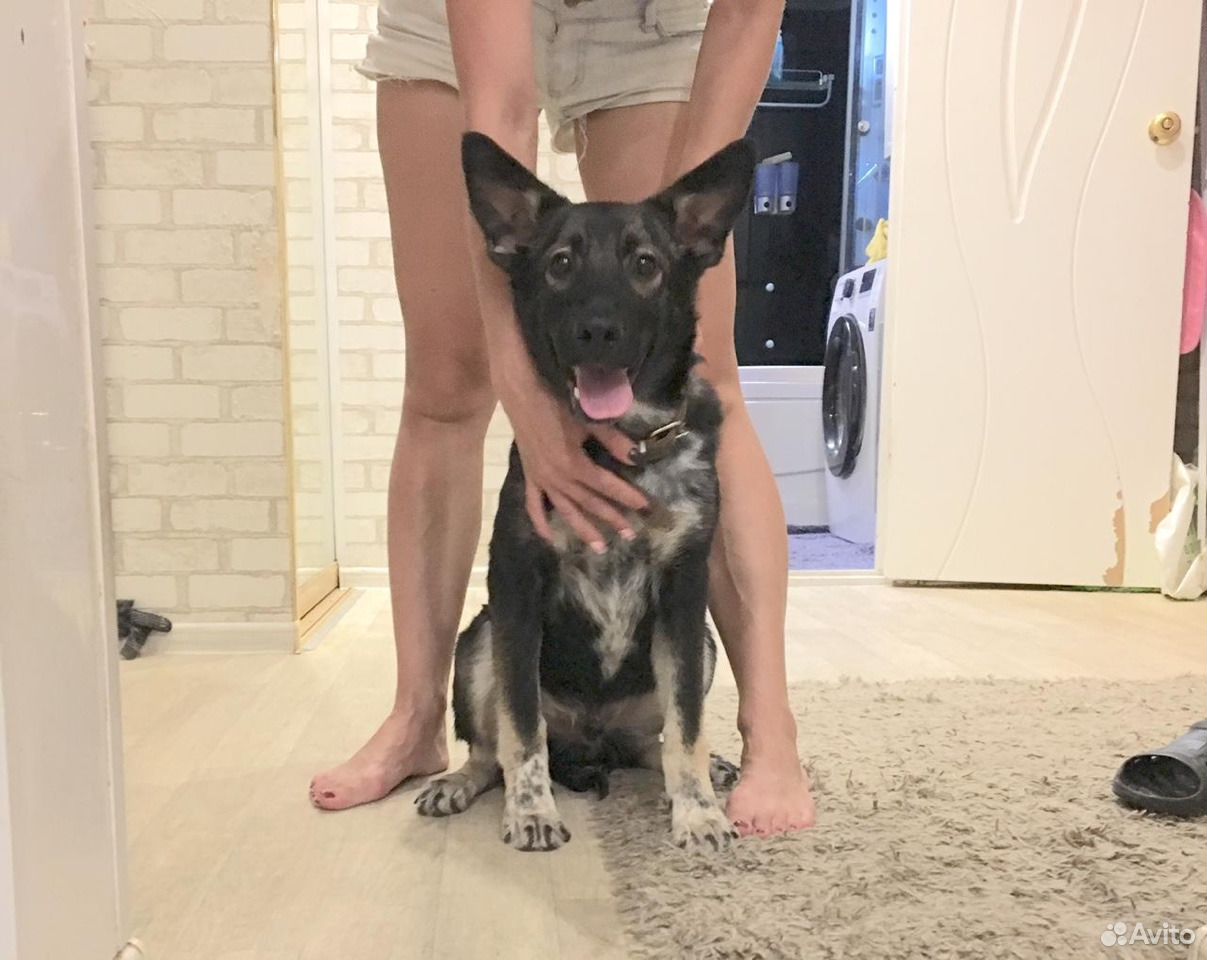 Малыш Эрик ищет семью