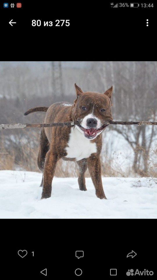 Стаф для вязки