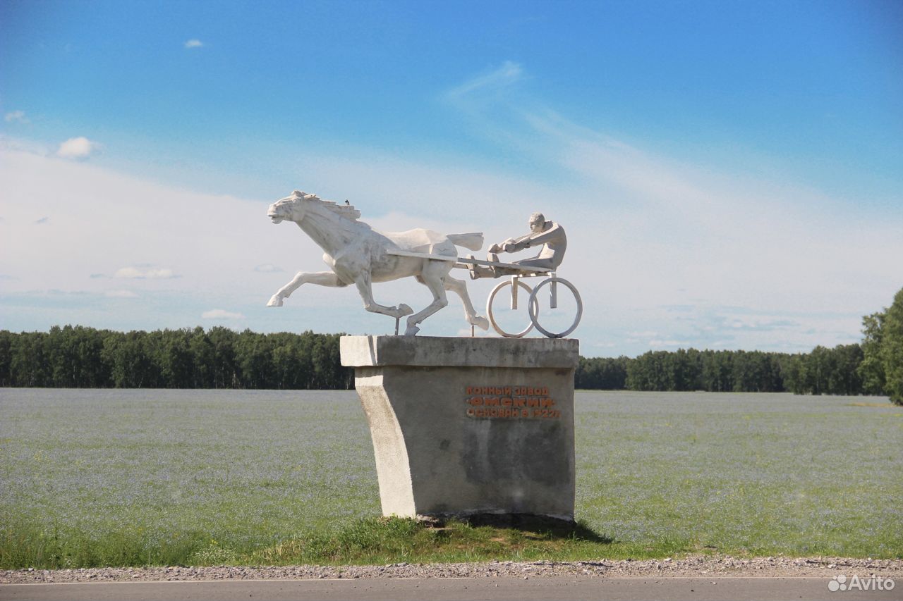 Племенной конный завод "Омский"