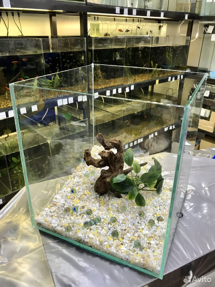 Аквариум куб, кубик, квадратный