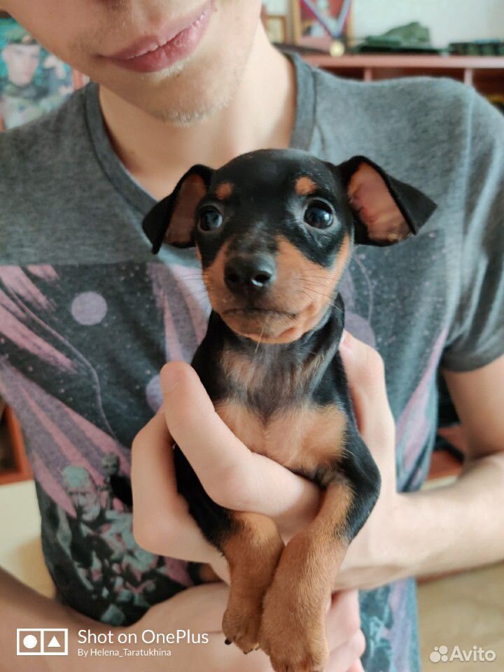 Капелька счастья из Дневного Дозора