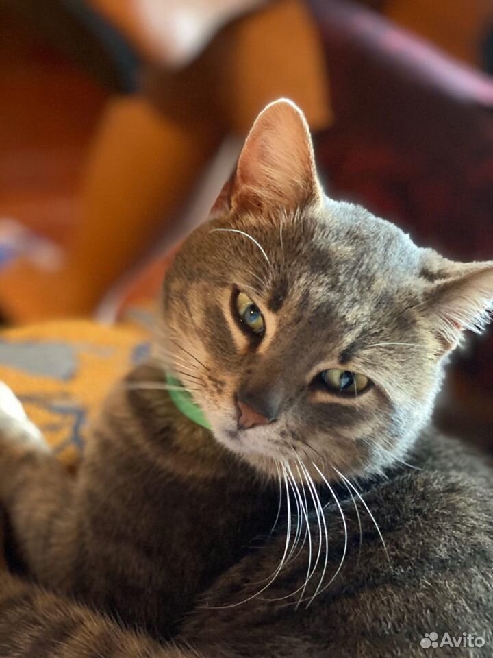 Мальчик Василёк