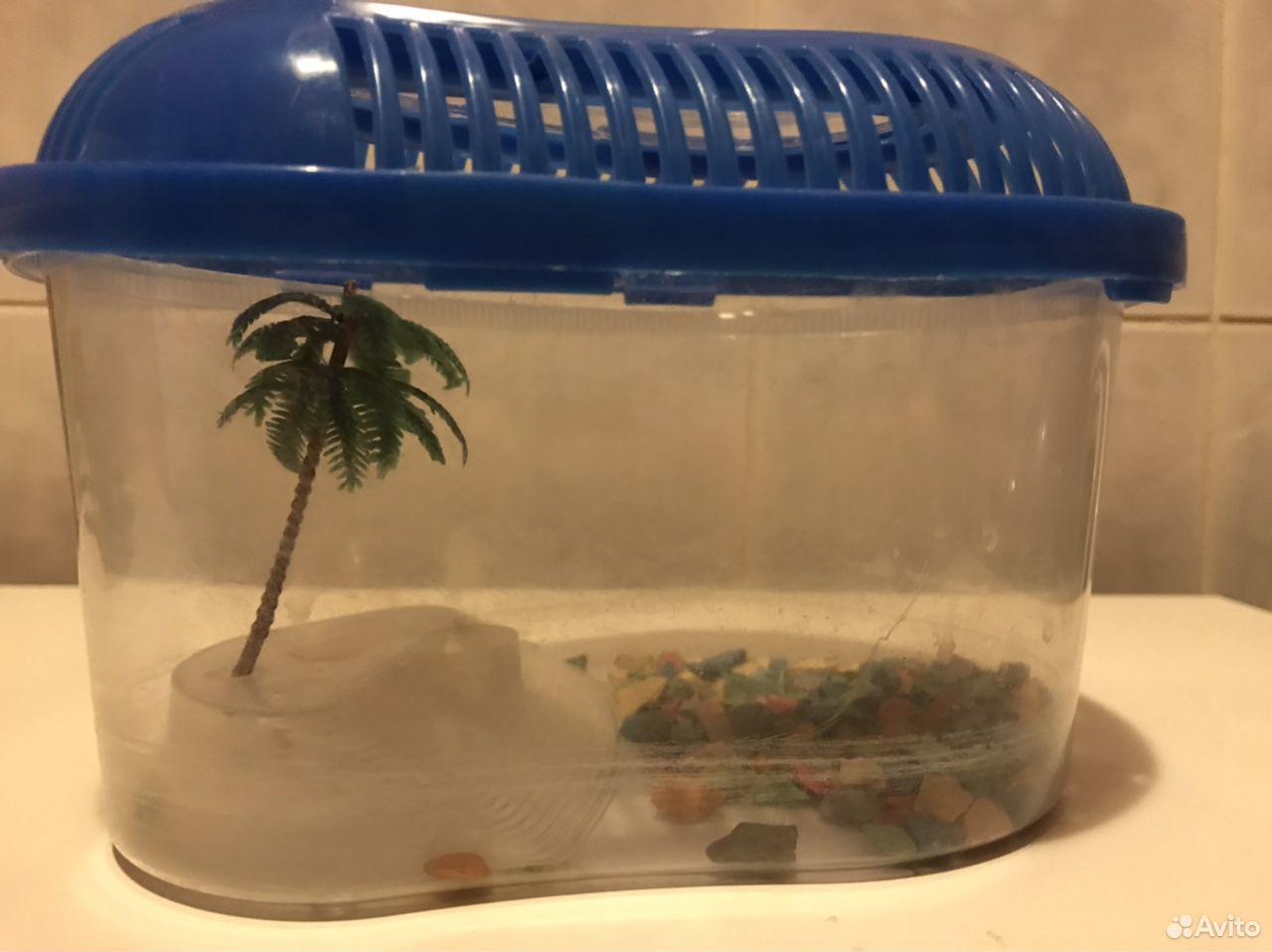 Аквариум-переноска для черепахи