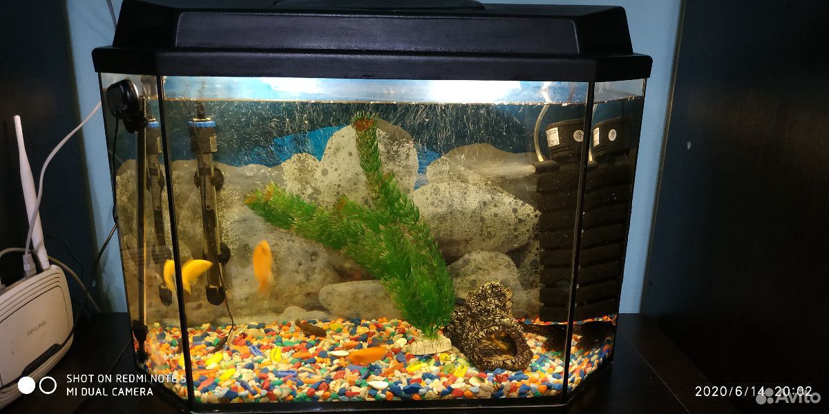 Аквариум 65лит