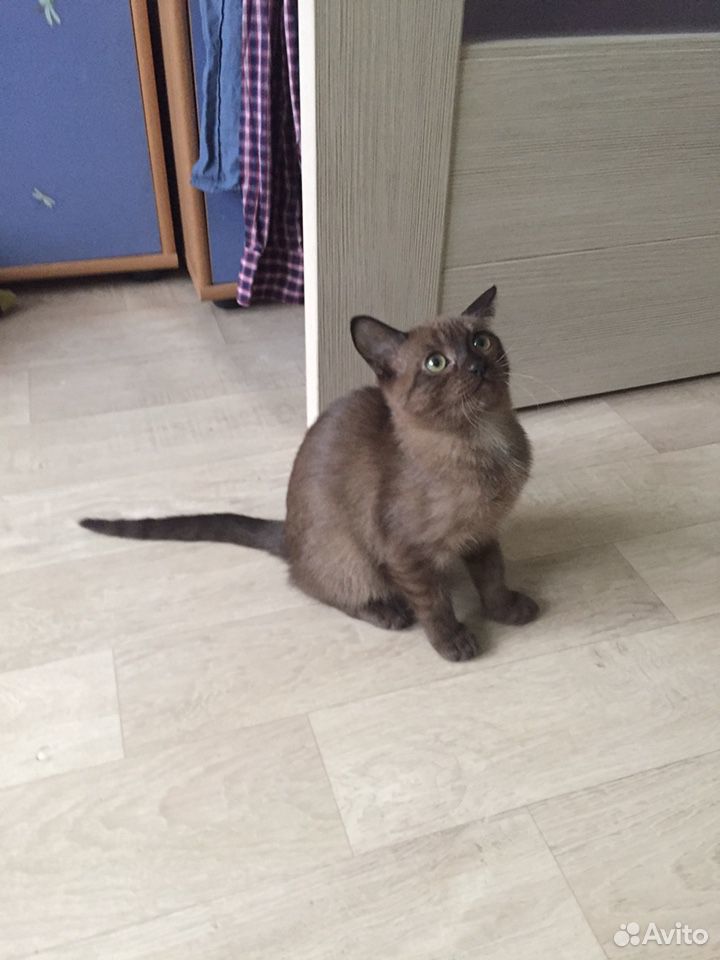 Бурманская