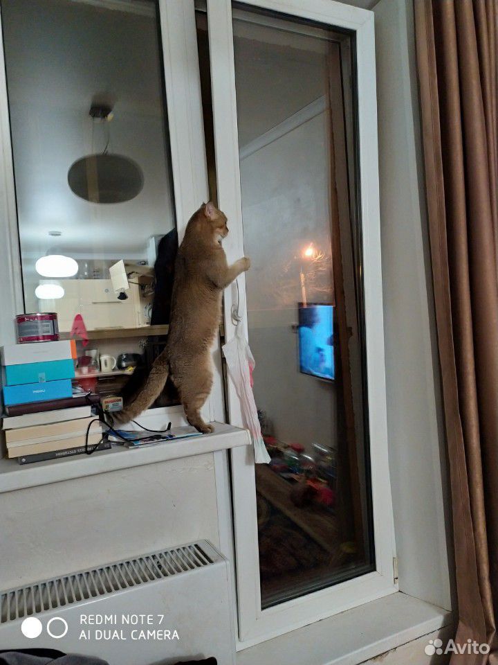 Вязка