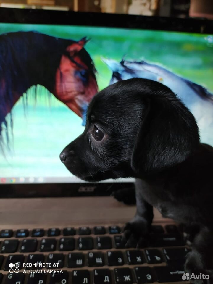 Чудо чудное