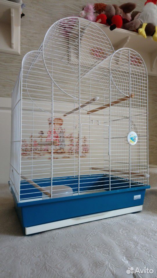 Клетка