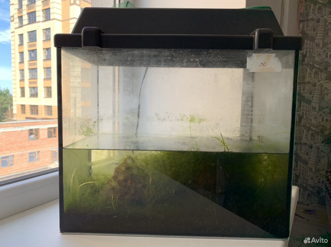 Аквариум 31 л