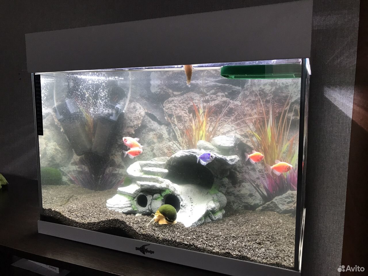 Аквариум с рыбками
