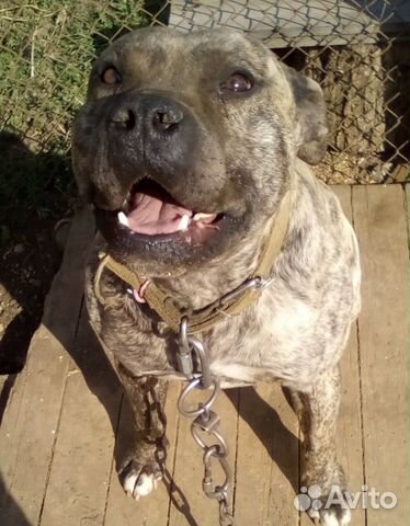 Стафф для вязки