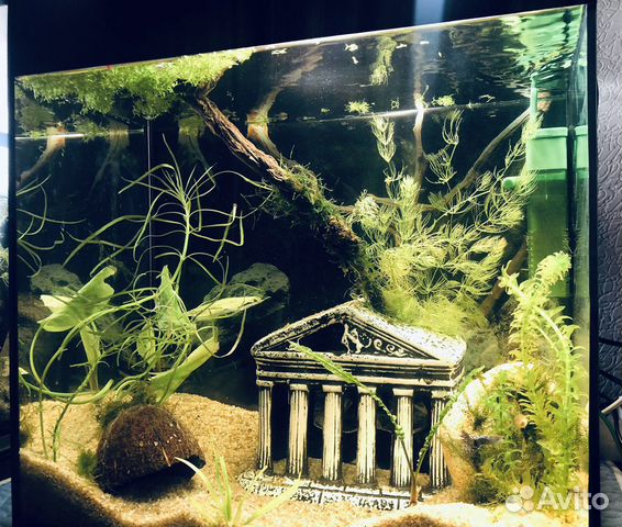 Аквариум 42л