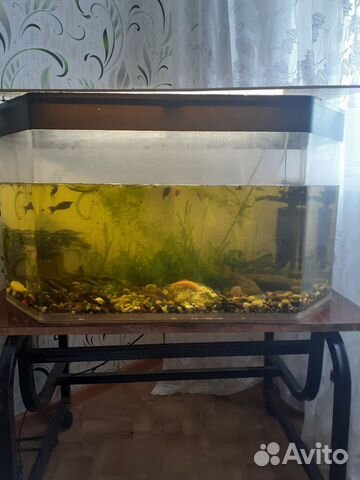 Продам аквариум