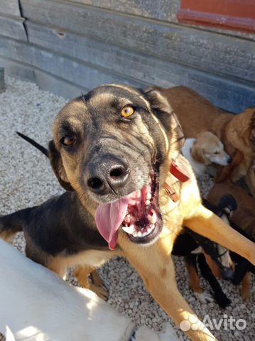 Душе нужен дом