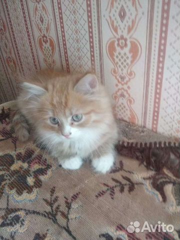 Ул.металлургов 87