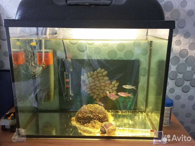 Аквариум 30 литров