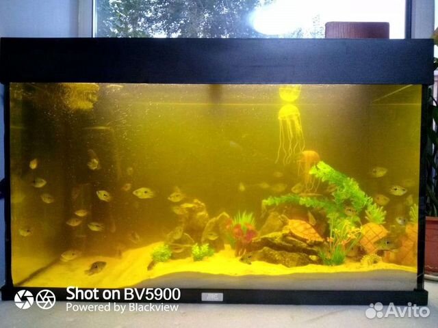 Аквариум juwel 140л