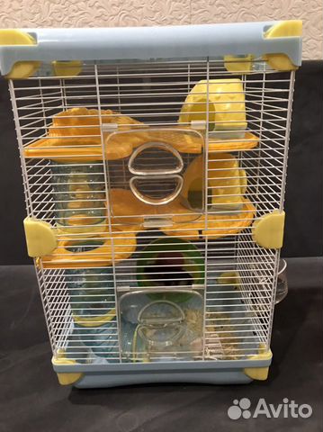 Клетка и джунгарики