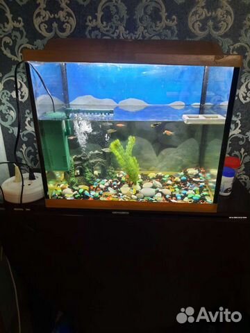 Аквариум