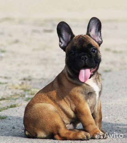 Мальчишка очаровашка