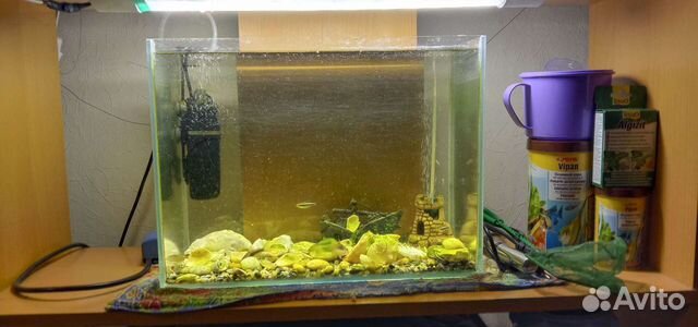 Аквариум с рыбками