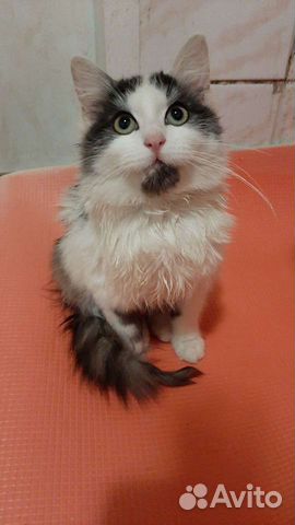 Гиперласковый малыш 4 мес