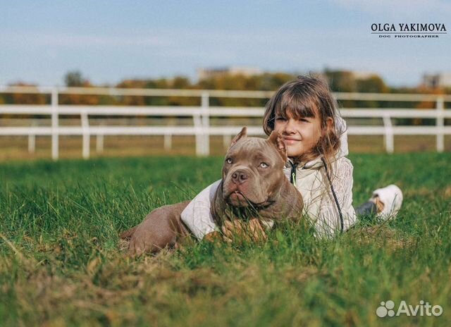 Мальчик микро экзот булли