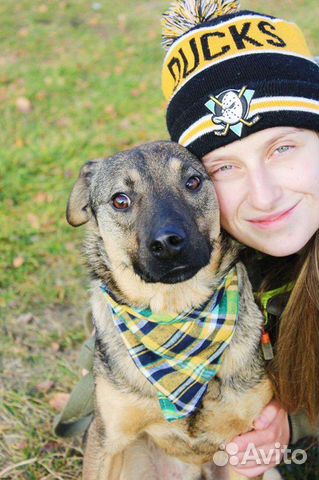 Небольшой собачке нужна семья