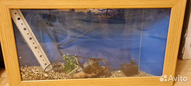 Аквариум настенный