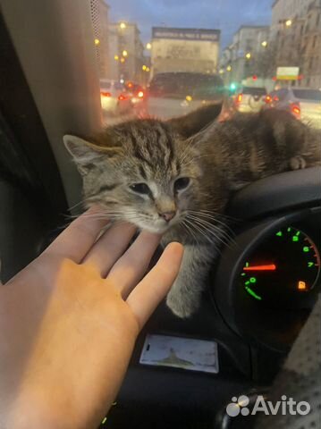 Европейская