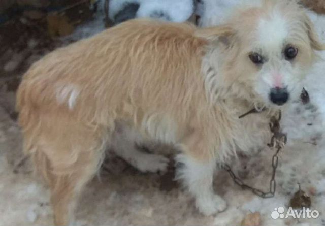 Потерялся друг