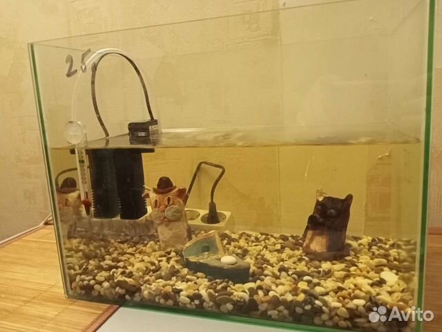 Аквариум с рыбками и всем необходимым