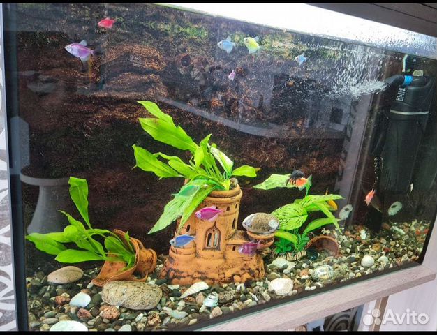 Аквариум 180 литров eheim professionel