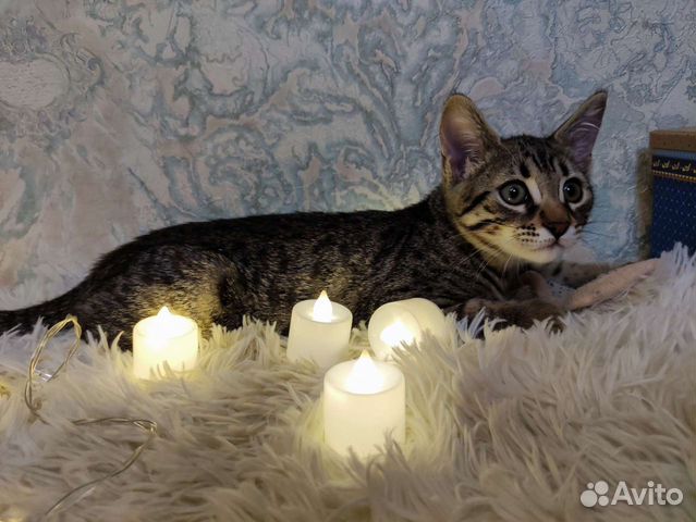 Девочка чёрный уголь