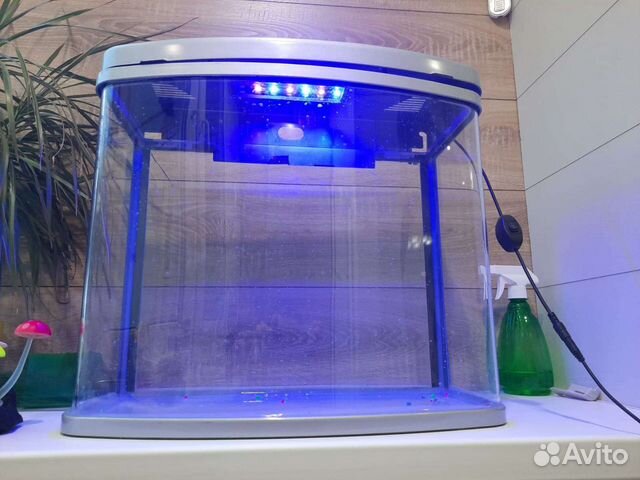 Аквариум