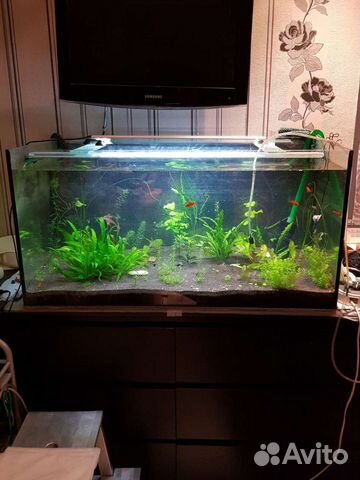 Аквариум 230л