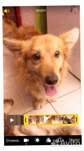 Малыш ищет свою семью