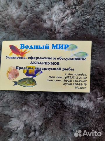 Обслуживание пресноводных аквариумов