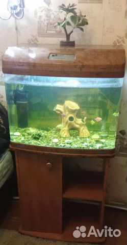 Аквариум
