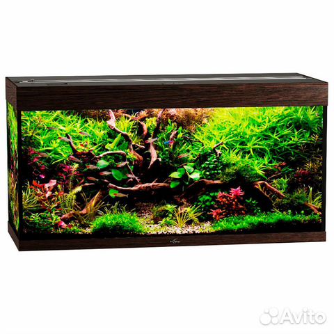 Аквариум Биодизайн Атолл 350 венге