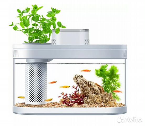 Аквариум xiaomi descriptive geometry c180 smart
