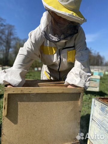 Пчелопакеты 2022