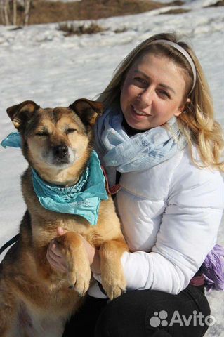 Старенькой Груше нужна семью