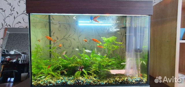 Аквариум 140 литров