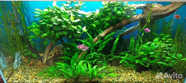 Аквариум с тумбой 180л